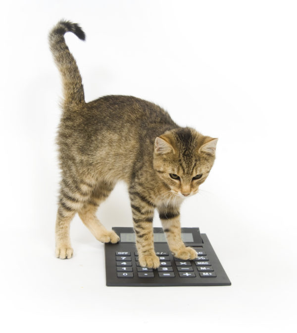 Are Index 'Included' Columns in Your Multi-Column Statistics? - Brent ...